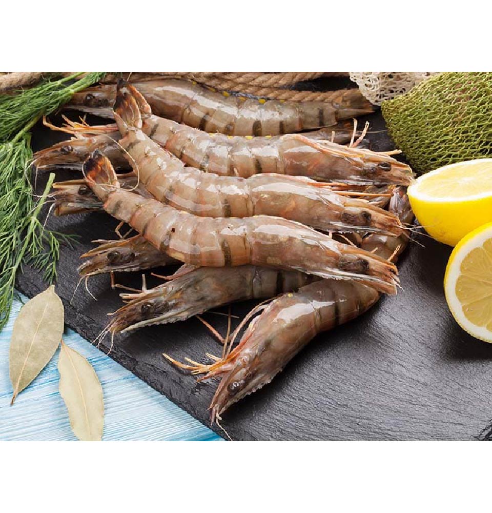 King Prawn - Amir Kulal