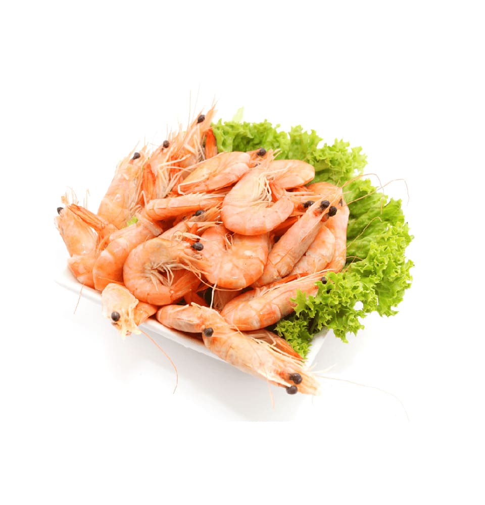 Small King Prawn - Amir Kulal